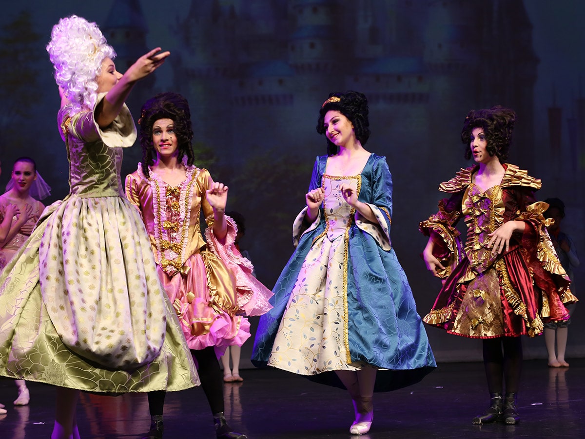 Ballet + Costume Design Sydney | The Beautiful Dancer by Rebecca