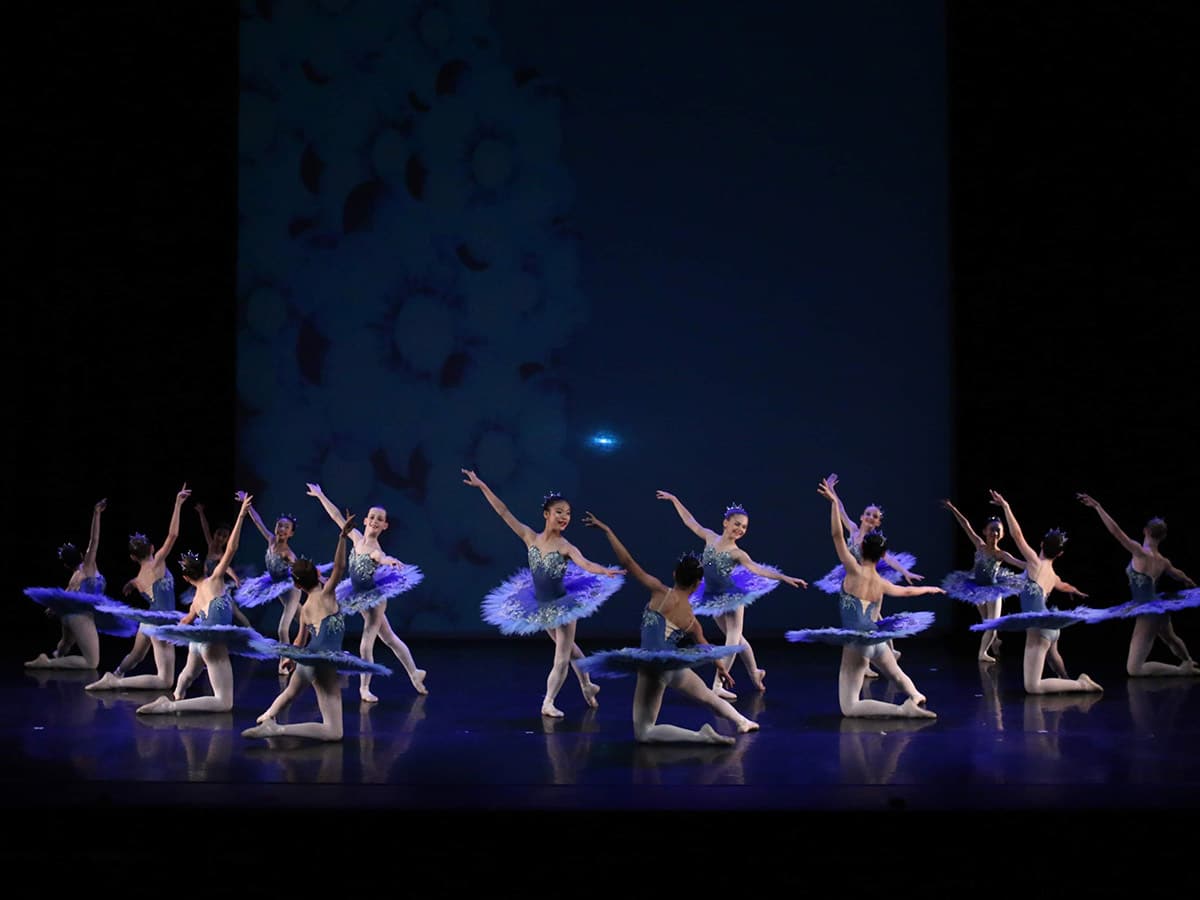 Ballet + Costume Design Sydney | The Beautiful Dancer by Rebecca